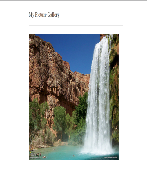 Flickr - Form Widgets | Jotform