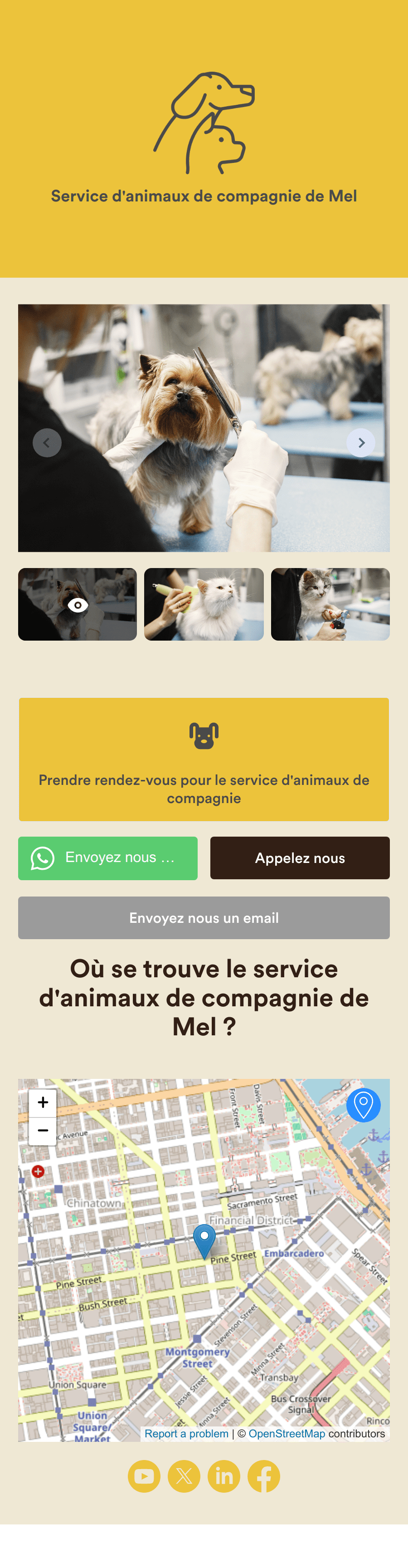 Application de toilettage pour chiens Modèle | Jotform