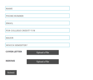 Online Internship Application Form Template | Jotform