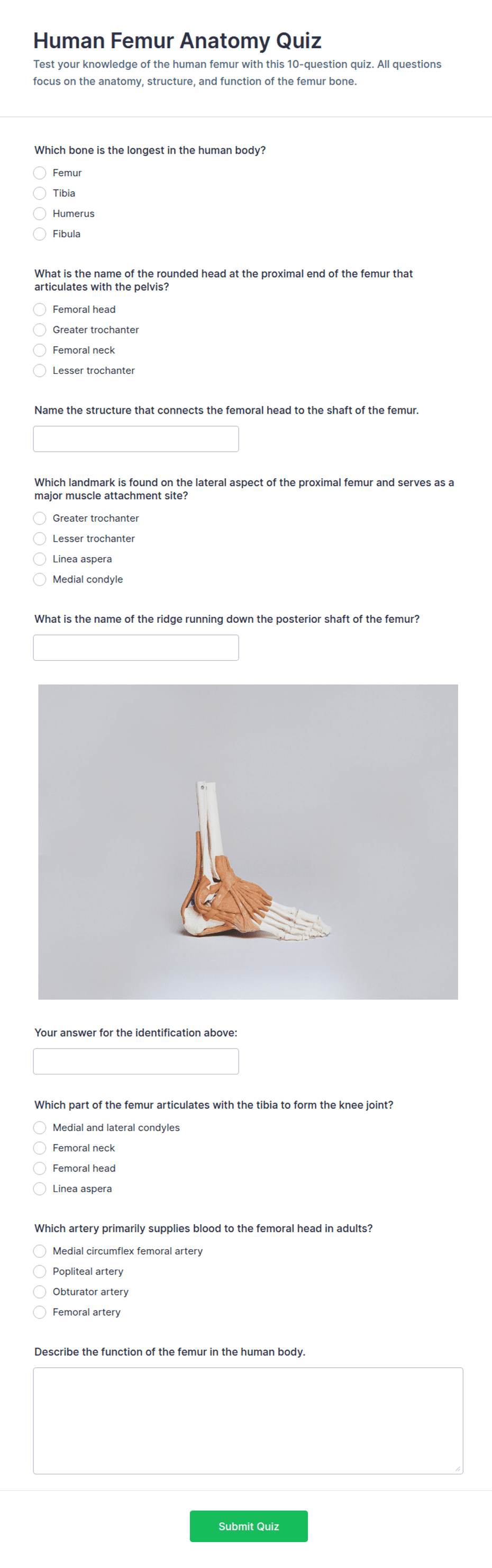 Human Femur Anatomy Quiz Form Template | Jotform