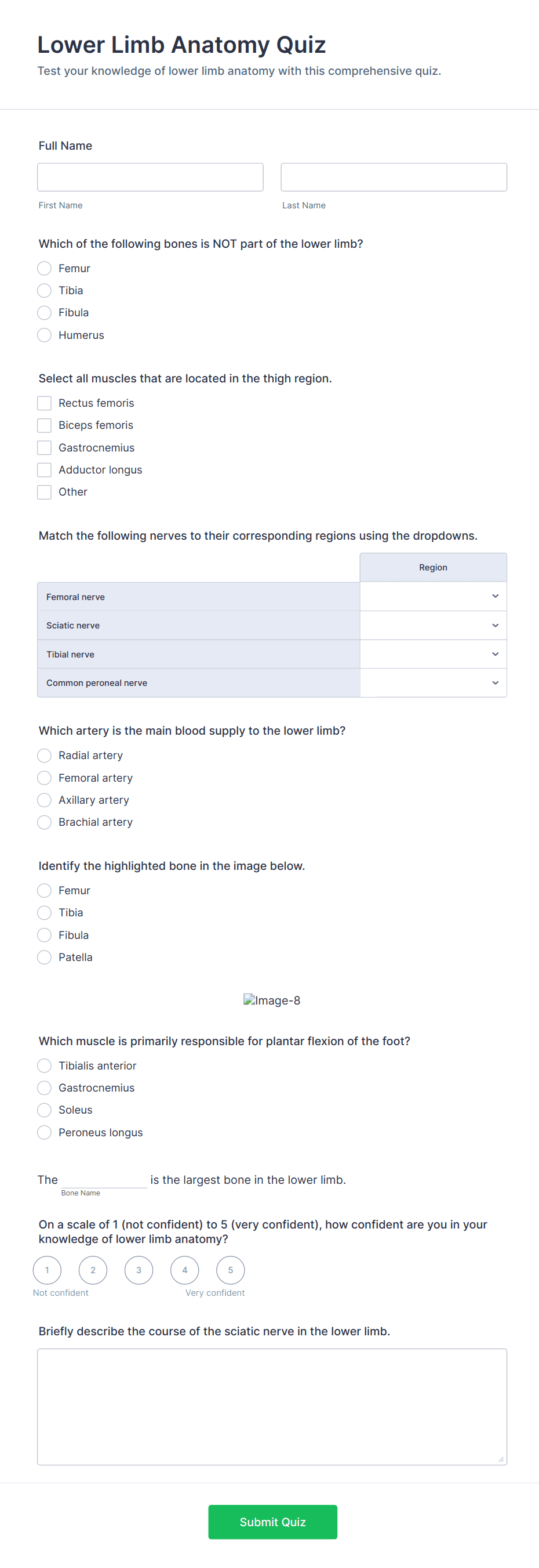 Lower Limb Anatomy Quiz Form Template | Jotform