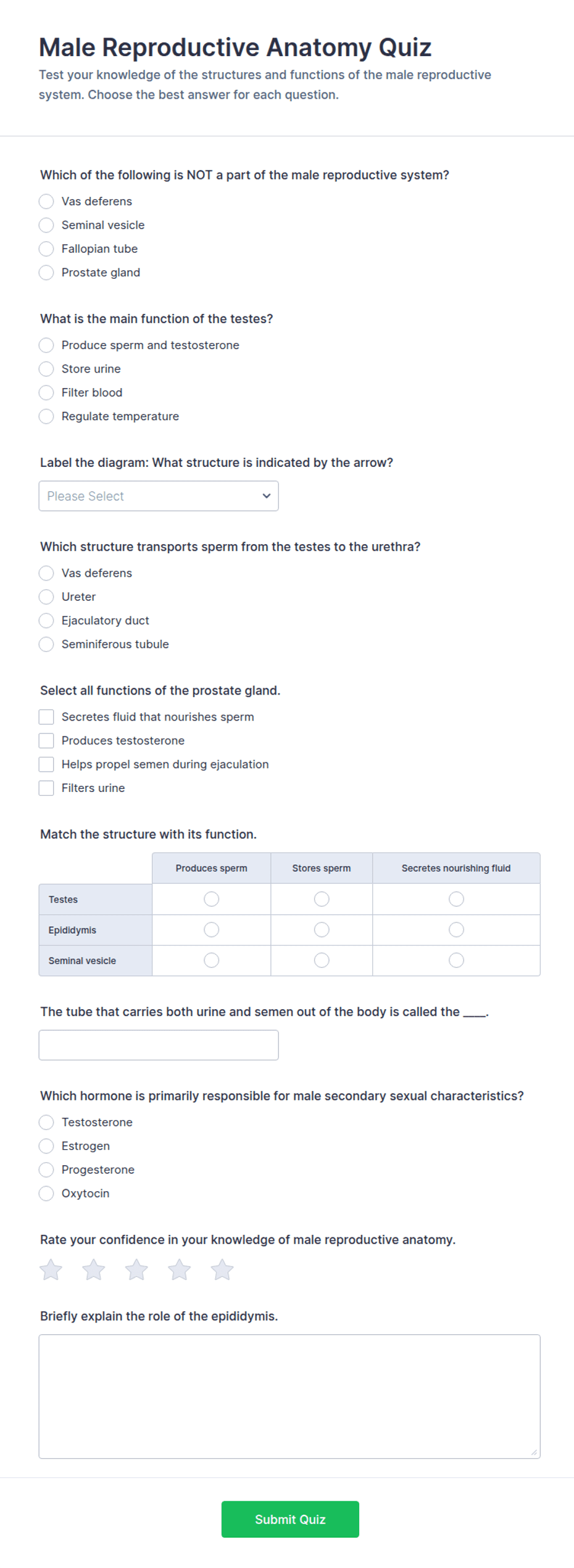 Male Reproductive Anatomy Quiz Form Template | Jotform