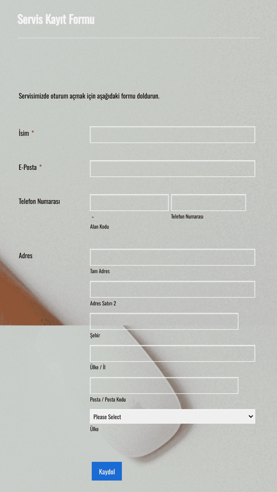 Servis Kayıt Form Şablonu | Jotform