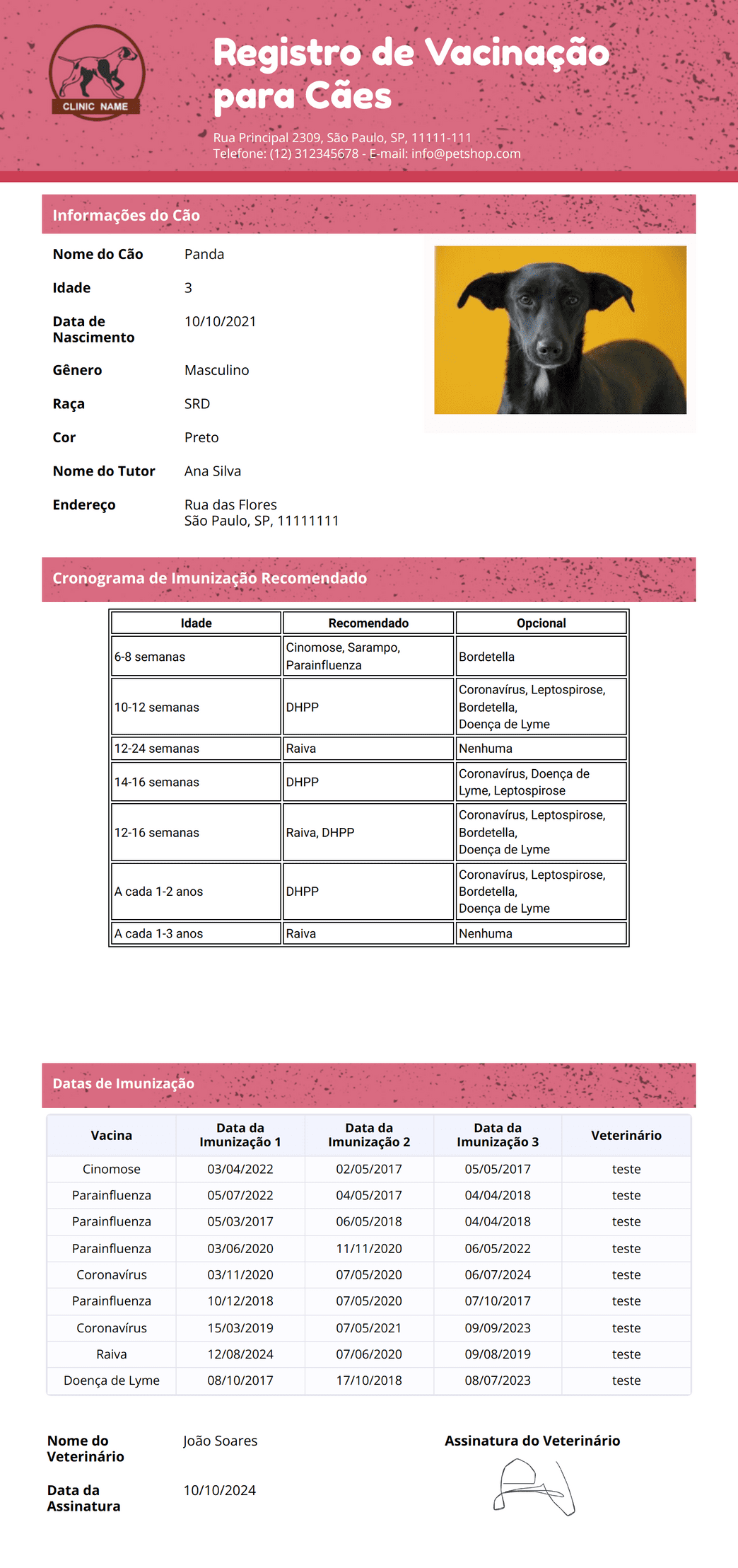 Modelo de Registro de Vacinação para Cães - Modelos para PDFs | Jotform