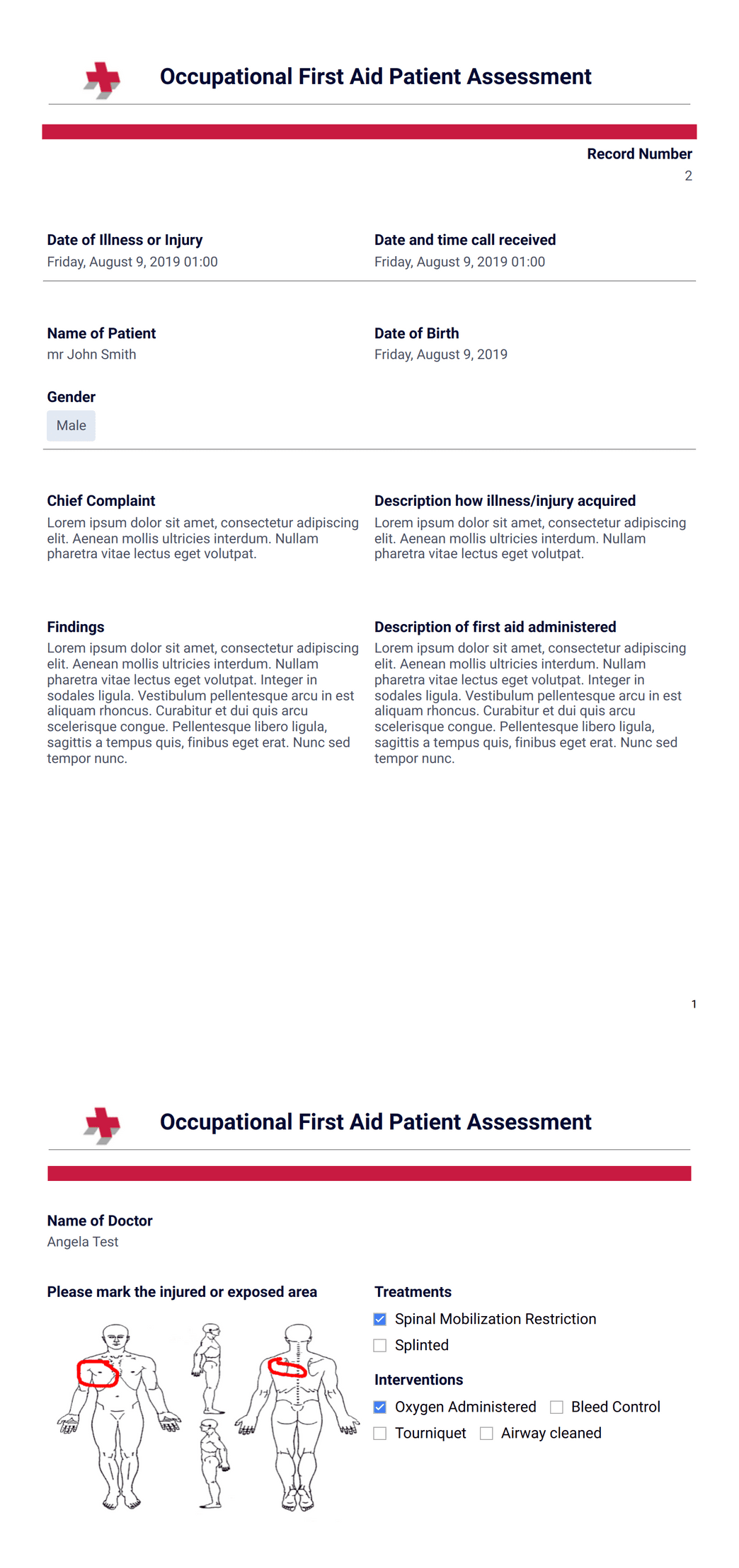 Occupational First Aid Patient Assessment PDF Template | Jotform