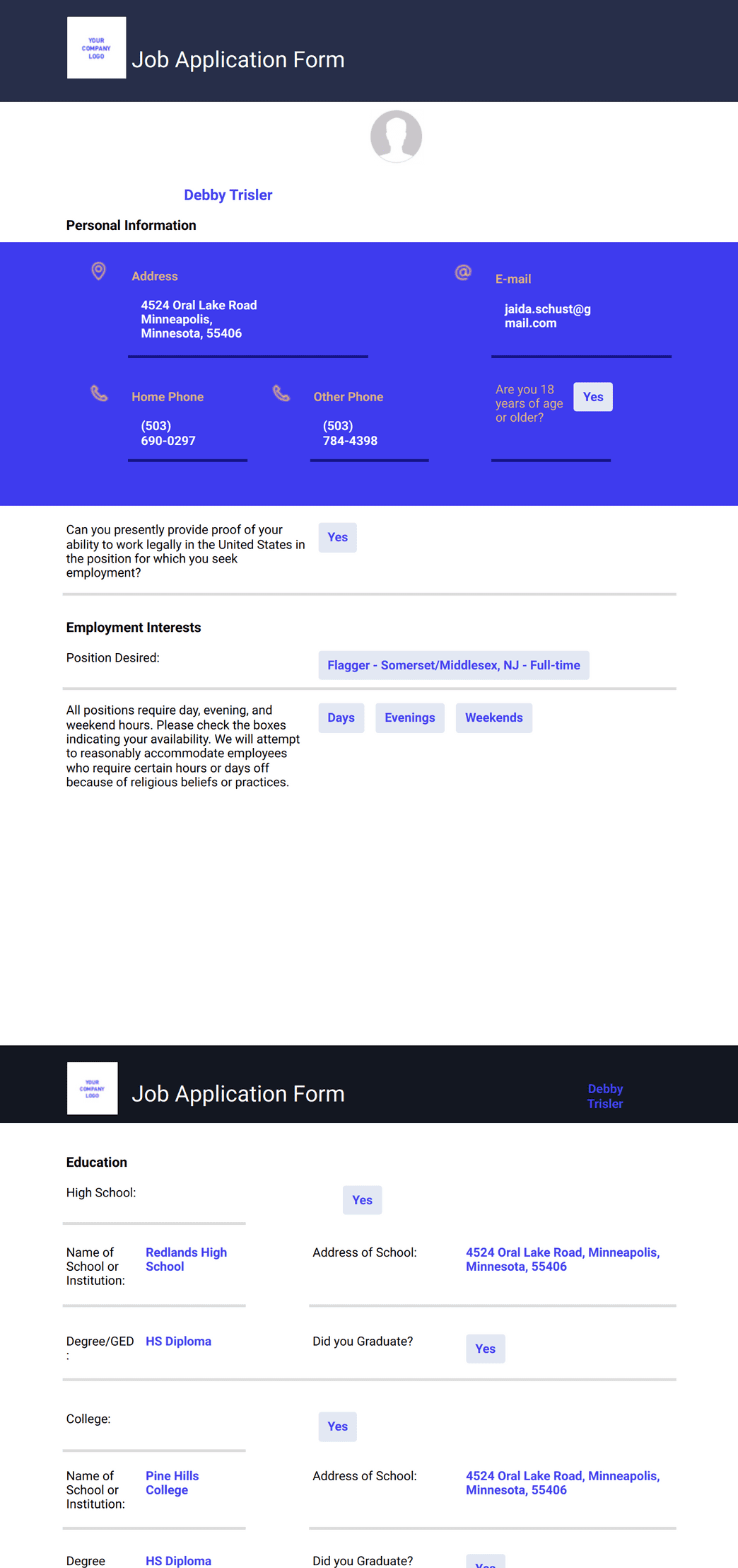 Professional Job Application Record Template - PDF Templates | Jotform