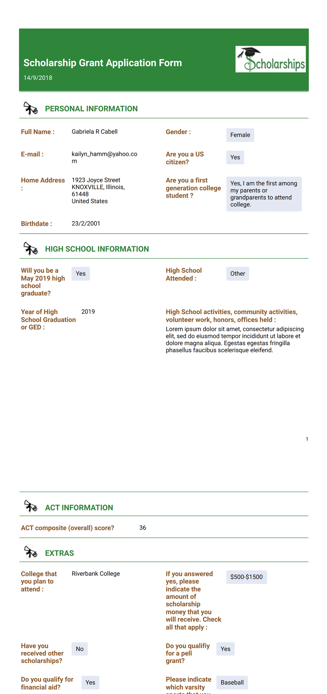 Simple Scholarship Application Template - PDF Templates | Jotform